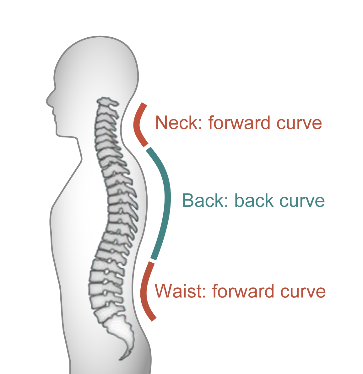 Okamura Contessa II Office Task Chair - Iconic Ergonomic Design