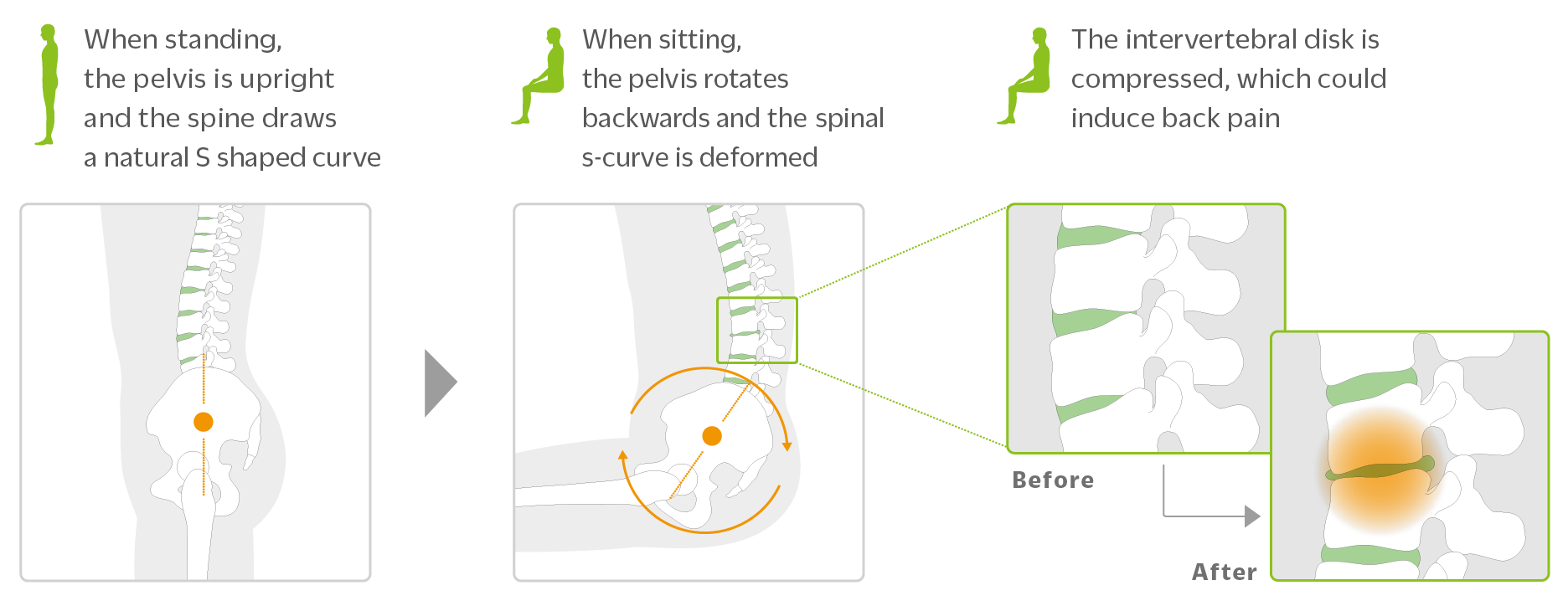 How to Choose an Office Chair that Adapts to You | Okamura