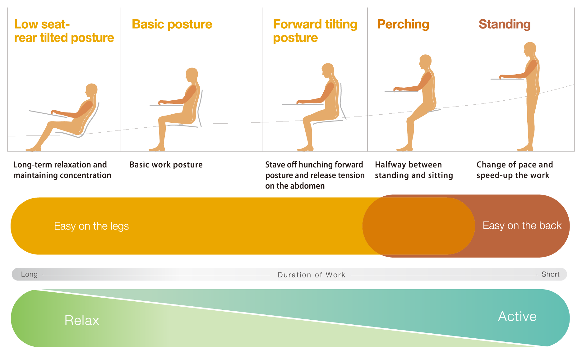 The Posture: 5 Ideal Work Postures Recommended by Okamura